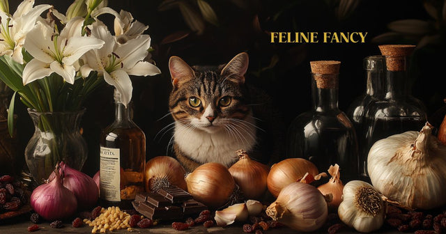 Poisoning in Cats | Recognizing Early Warning Signs – Feline Fancy