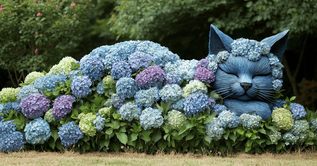 Are Hydrangeas Toxic to Cats? Know the Hidden Danger – Feline Fancy
