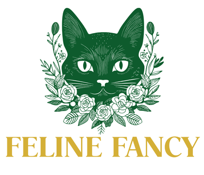 British Longhair | History, Traits, and Care – Feline Fancy
