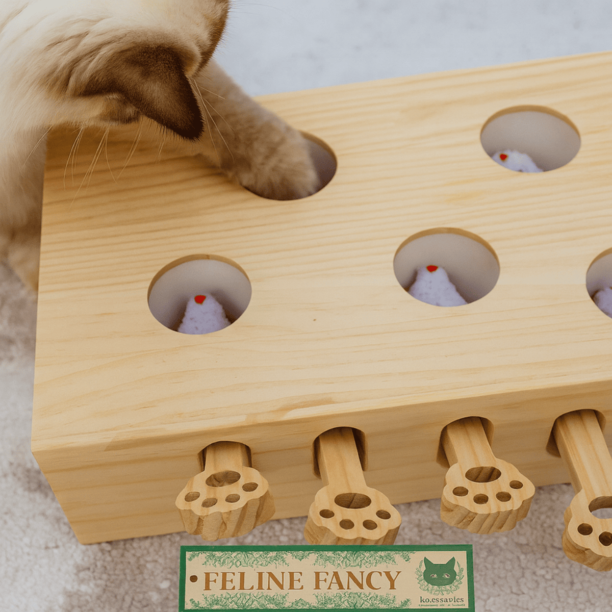 Cat Bowls | Modern Raised Feeding Bowl and Pet Bowls UK – Feline Fancy