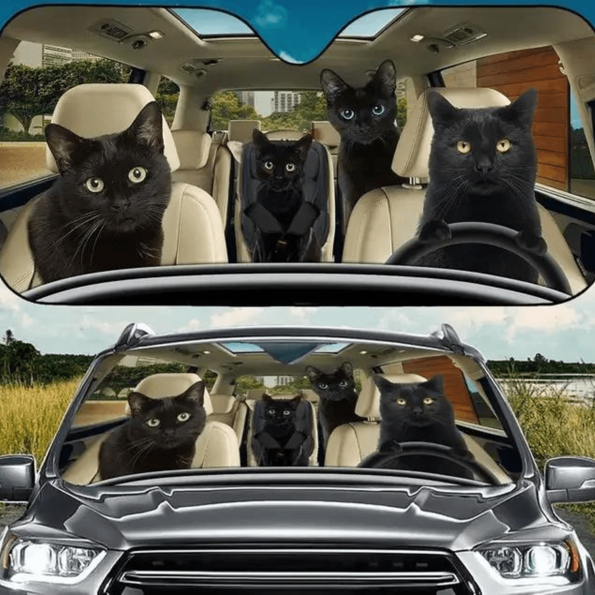 Black Cat Car Sunshade | Shield Your Car from Sunlight – Feline Fancy