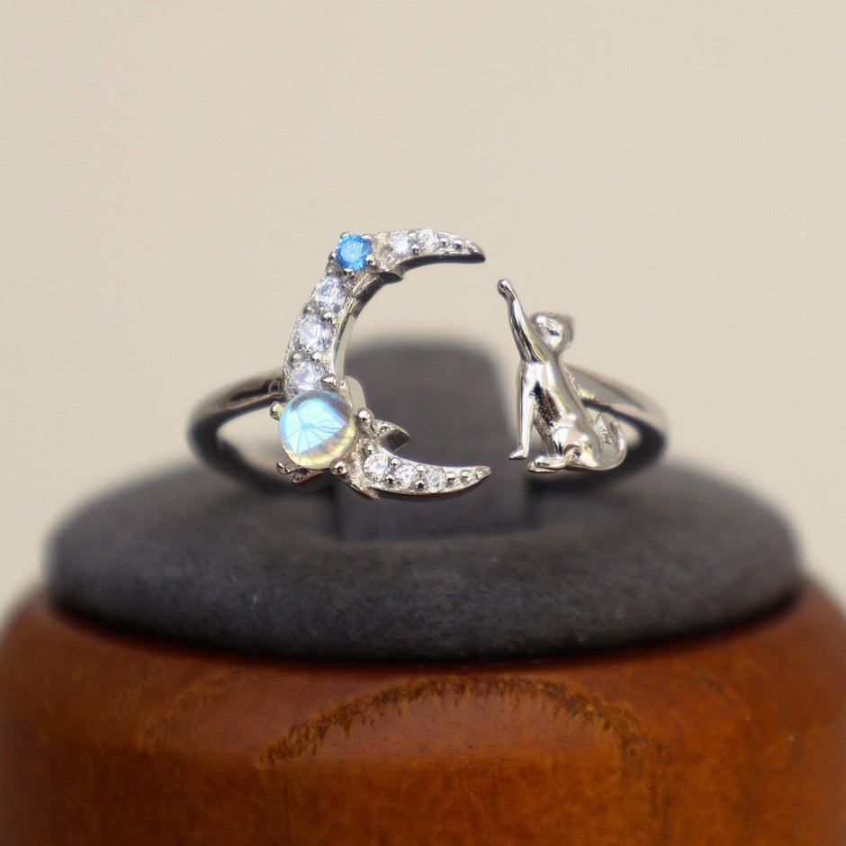 Feline Fancy Ltd | The Perfect Place for Cat Enthusiasts